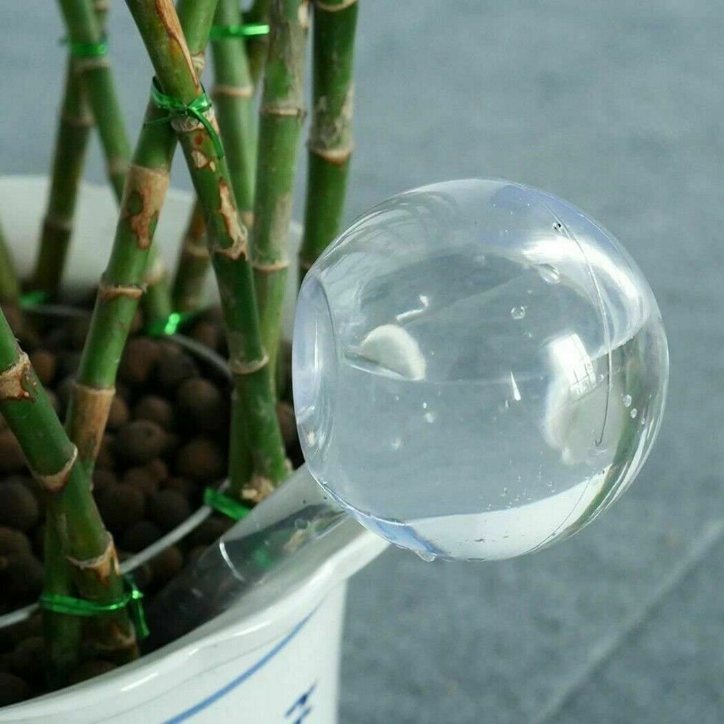 Plant Water Bulbs Self Watering Globes Automatic Watering Ball ...