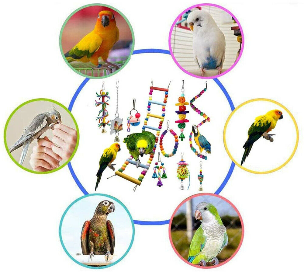 10X Pet Colorful Parrot Bird Rope Cage Perch Bungee Hanging Swing Ladd ...
