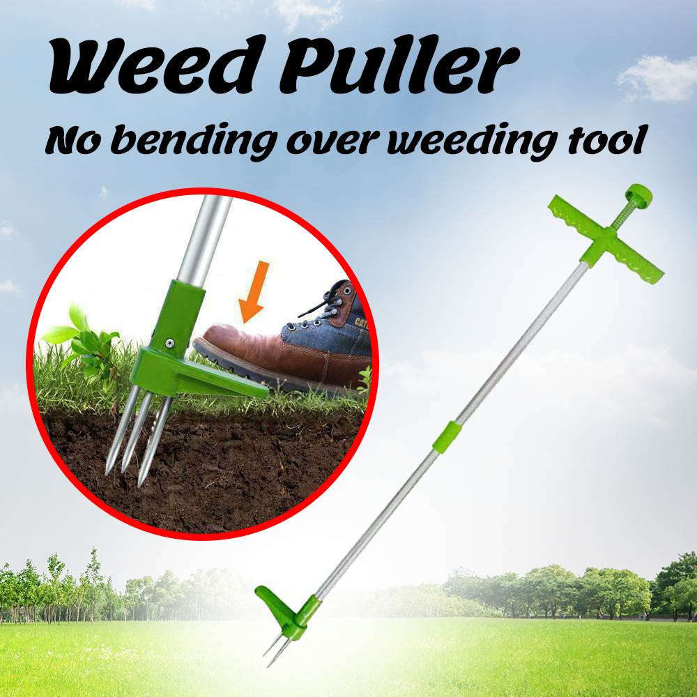 Weed Puller Weeder Twister Twist Pull Garden Lawn Root Killer Remover – ecanbusiness